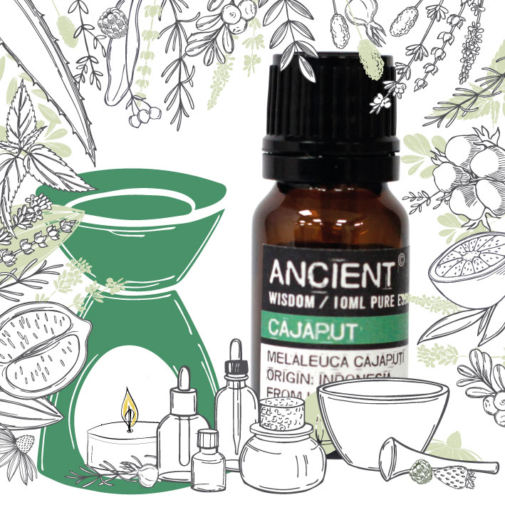 Eeterlik cajut-puu õli (CAJAPUT) 10ml / Universaal Universum