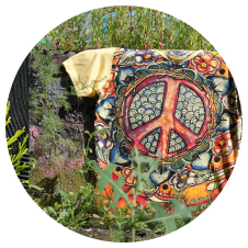 RIIDED / Universaal Universum